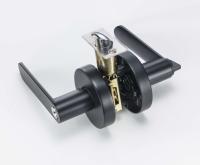 China Matte Black Tubular Handle Lock Zinc Alloy Handle Brass Cylinder for sale