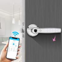 China TTlock Fingerprint Bluetooth Smart Lock Keyless Zinc Alloy Handle for sale
