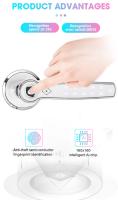 China TTlock Fingerprint Bluetooth Smart Lock Keyless Zinc Alloy Handle for sale