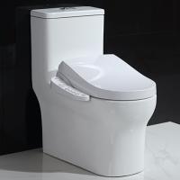 China Side Arm Control Smart Toilet Seat With Stainless Steel Nozzle for sale