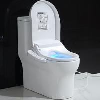 China Side Arm Control Smart Toilet Seat With Stainless Steel Nozzle for sale