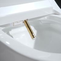 China Side Arm Control Smart Toilet Seat With Stainless Steel Nozzle for sale