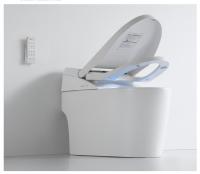 China Waterproof Air Purification Acrylic ABS Intelligent Flushing Toilet Seat for sale