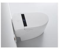 China Waterproof Air Purification Acrylic ABS Intelligent Flushing Toilet Seat for sale