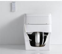 China Waterproof Air Purification Acrylic ABS Intelligent Flushing Toilet Seat for sale