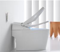 China Waterproof Air Purification Acrylic ABS Intelligent Flushing Toilet Seat for sale