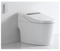 China Waterproof Air Purification Acrylic ABS Intelligent Flushing Toilet Seat for sale