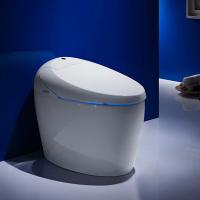China One Piece Intelligent Bathroom Sanitary Ware With Foot Touch Sensor Flushing for sale