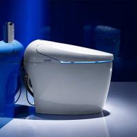 China One Piece Intelligent Bathroom Sanitary Ware With Foot Touch Sensor Flushing for sale