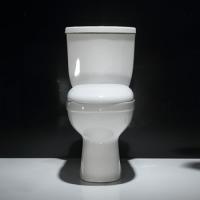 China Soft Closing Two Pieces Toilet Washdown Flushing Type OEM for sale