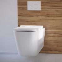 China Adjustable Height Rimless Flushing Wall Hung Toilet Bowl Glossy White for sale