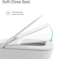 China Adjustable Height Rimless Flushing Wall Hung Toilet Bowl Glossy White for sale