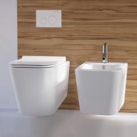 China Adjustable Height Rimless Flushing Wall Hung Toilet Bowl Glossy White for sale