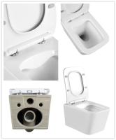 China Adjustable Height Rimless Flushing Wall Hung Toilet Bowl Glossy White for sale
