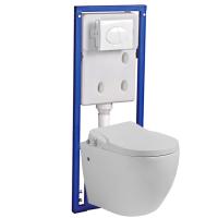 China OEM Wall Mounted Concealed Toilet Carrier Frame With Dual Flush Toilet Tank for sale