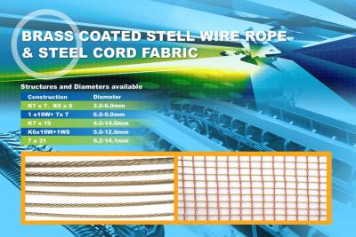 China steel cord fabric for conveyor belt for sale