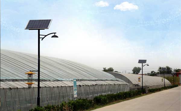 Solar street lamp purchasing lesson form Manufactor