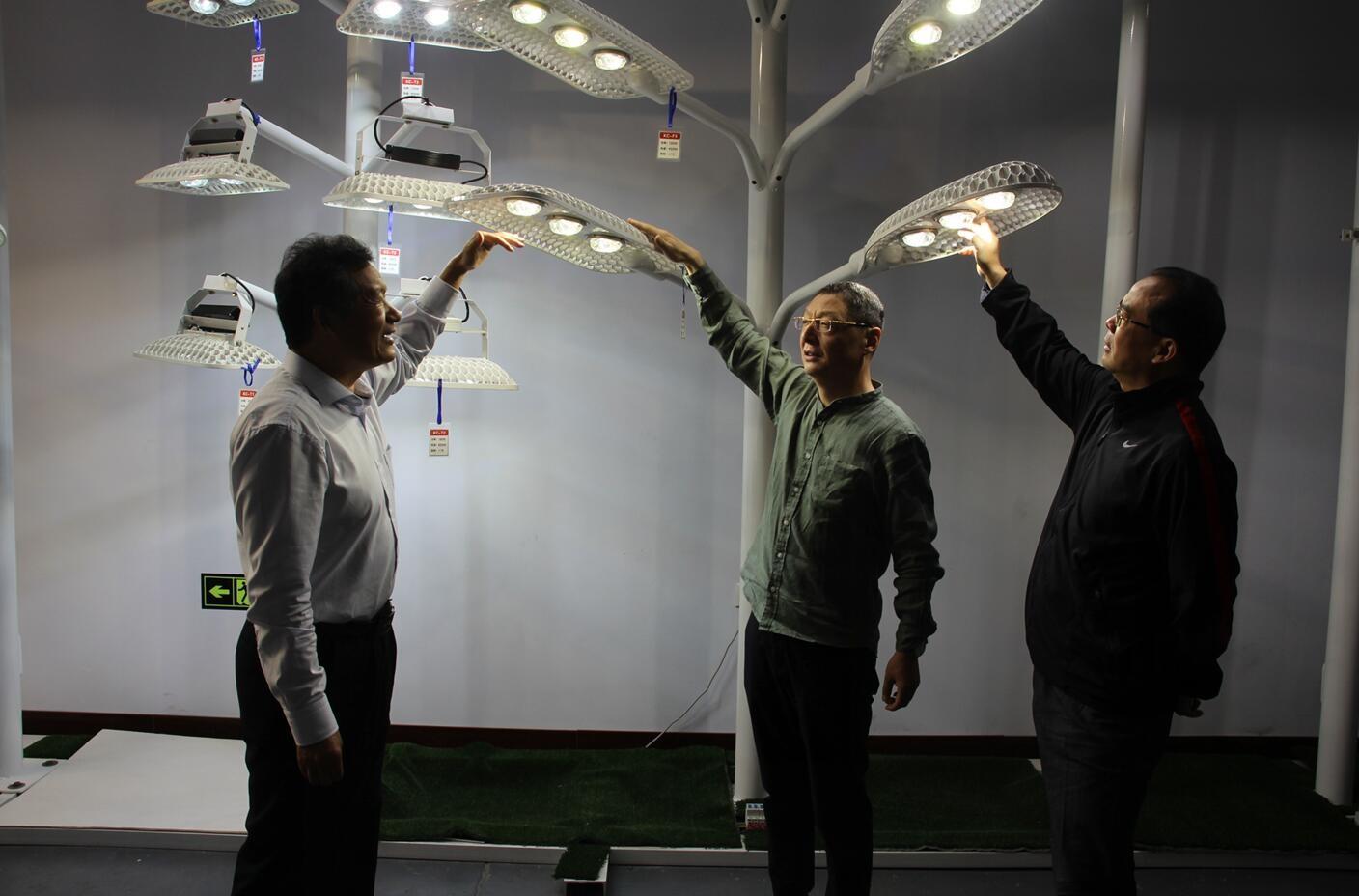 How to choose solar LED street lighting with high performance