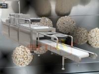 China Simens Controled Easy Operation Chewy granola bar production machine line for sale