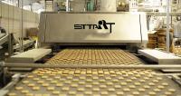 China Industrial Automatic Pet Food Processing Equipment Dog Feed Biscuit Making for sale