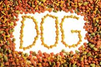 China Durable 200-500kg Capacity Animal Food Making Machine To Make Dry Pet Food for sale