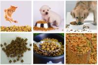 China Industrial Automated Pet Food Extruder Machine Siemens PLC & Touch Screen Controlled for sale