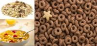 China Fast Food Nutritional Corn Flakes Production Line , Small Corn Flakes Machine for sale