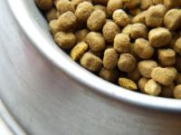 China Semi - Moisture WEG Motor Dog Food Machine Full Automatic Processing for sale