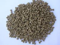China Semi - Moisture WEG Motor Dog Food Machine Full Automatic Processing for sale