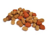 China SUS 304 Multiple Capacities Pet Food Making Machine With Famous Brand Parts for sale
