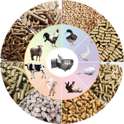China Full Automatic Dog Food Production Machine Overload Overcurrent And Overheat for sale