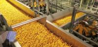 China Large Capacity Corn Snack Extruder Machine High Speed Puff Food Production for sale