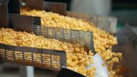 China Automatic Puff Snacks Snacks Production Machines Stainless Steel Material Made for sale