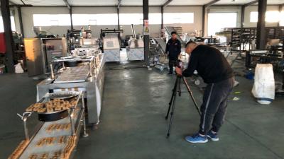 China 4KW Powder 200-300kg / Hr Stainless Steel Cereal Bar Machine 1 Year Warranty for sale
