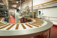 China Chocolate Coating Cereal Bar Cutting Machine Almomds / Peanut / Sesame Candy Bar Production for sale