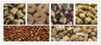 China Automatic Dry Dog 200kg / H Pet Food Extruder Machine for sale