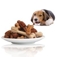 China 55mm 2600KN Dog Chewing Treats Injection Moulding Machine for sale