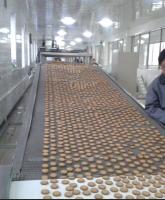 China Fuel Oil 28.5kw 50kg/H Vegetable Biscuit Production Line for sale