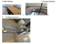 China Fuel Oil 28.5kw 50kg/H Vegetable Biscuit Production Line for sale