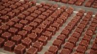 China Beef Jerky Bites Dog Snack Treats Forming Machine for sale