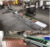 China Soft Chewing Dog Snacks Cold Extruder Machine Siemens Control System for sale