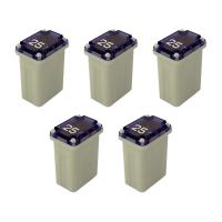 China PEC Smallest Lightest Automotive Slow Blow Fuse SBFC-M 32V 15A 20A 25A 30A 40A for sale