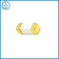 China Littelfuse 461 Cross TeleLink Time Delay Surface Mount Fuse 600V 0.5A-2A Range with 100A Breaking Capacity for sale