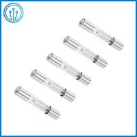 China 6.5x40mm Glass Tube Cartridge Fuse 5000V Fast-Acting for Microwave Oven Protection for sale