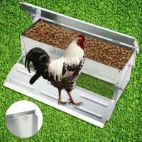 China Smooth Edges Large Capacity 10kg Automatic Hen Feeder for sale