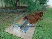 China Automatic Lid 5kg 8.2L Feed Timer Chicken Feeder for sale