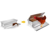 China Automatic Lid 5kg 8.2L Feed Timer Chicken Feeder for sale