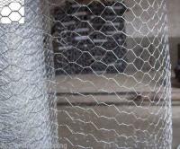 China Leveled Mesh Surface Welded 1