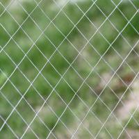 China 0.9mx50m Chicken Mesh Fence for sale