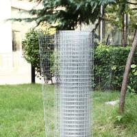 China 0.9mx50m Chicken Mesh Fence for sale
